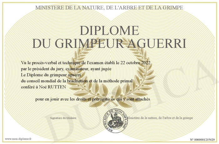 Diplome-du-grimpeur-aguerri