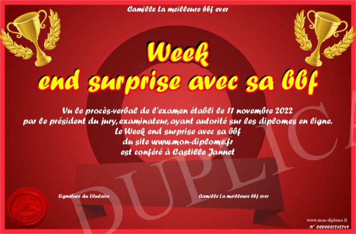 Week-end-surprise-avec-sa-bbf