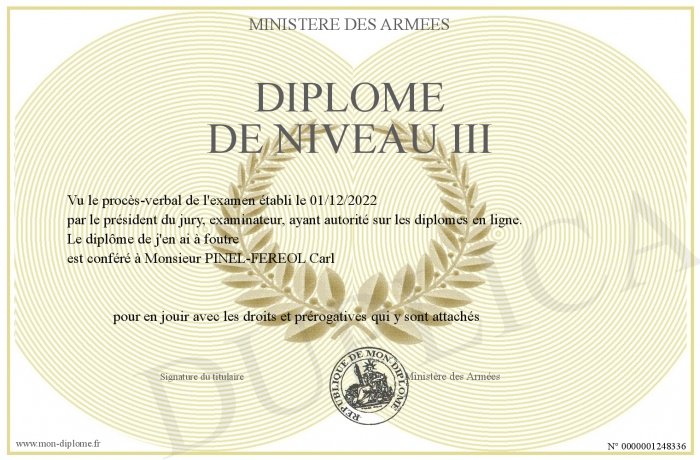 Diplome-de-niveau-III