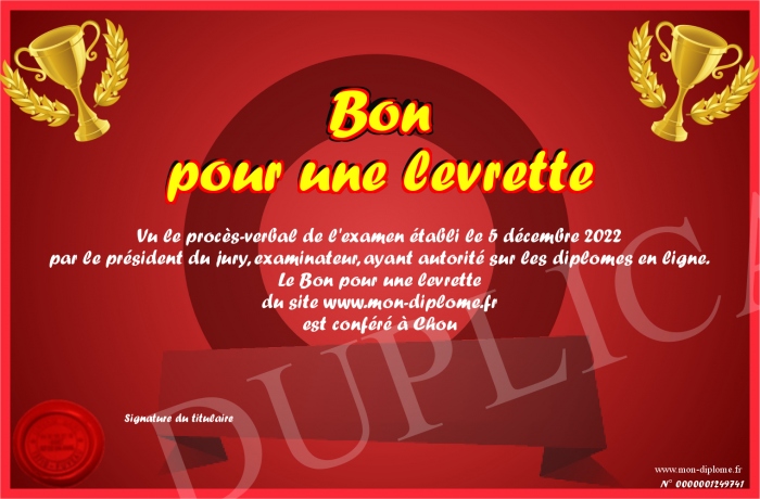 Bon-pour-une-levrette