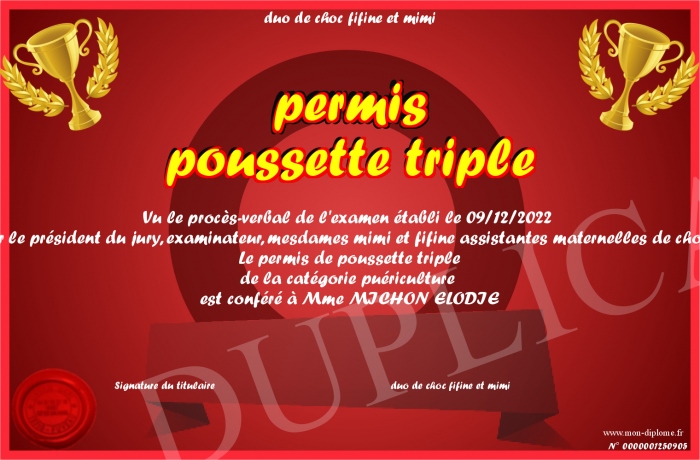 permis-poussette-triple
