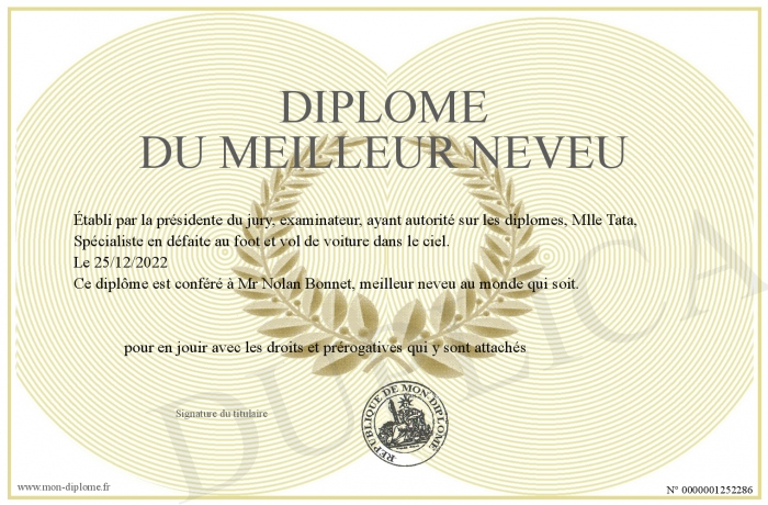 Diplome-du-meilleur-neveu