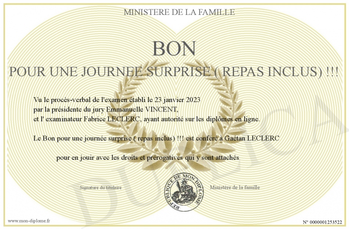 Bon-pour-une-journee-surprise-(-repas-inclus)-!!!