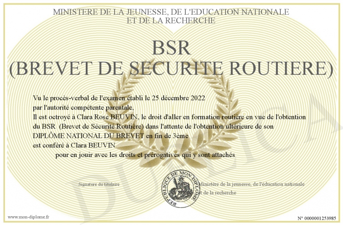 BSR--(Brevet-de-Securite-Routiere)
