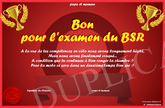 Bon-pour-l-examen-du-BSR