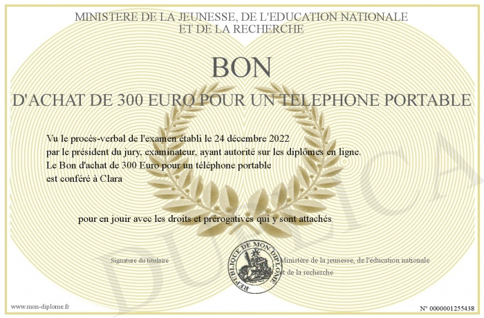 Bon-d-achat-de-300-Euro-pour-un-telephone-portable