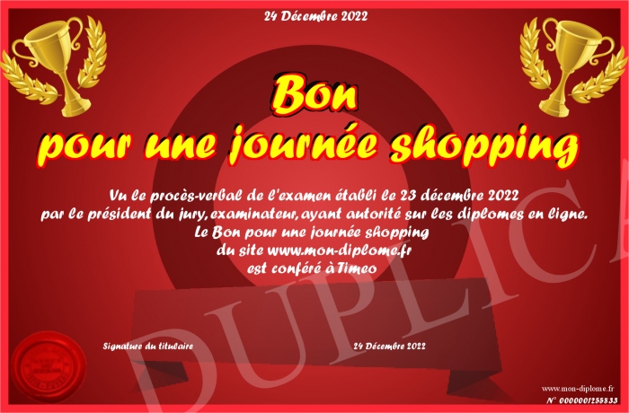 Bon-pour-une-journee-shopping