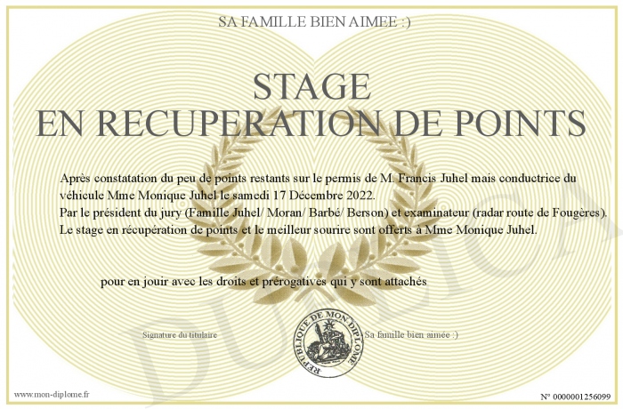 Stage-en-recuperation-de-points