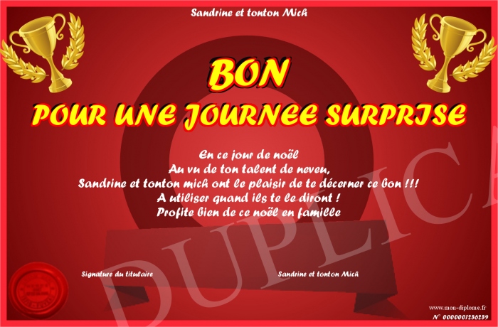 BON-POUR-UNE-JOURNEE-SURPRISE