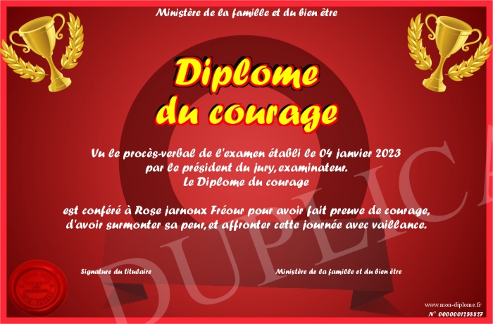 Diplome-du-courage