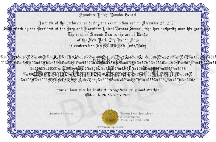 rank-of-Second-Dan-in-the-art-of-Kendo