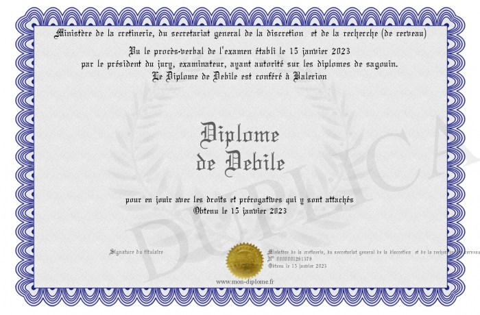 Diplome-de-Debile