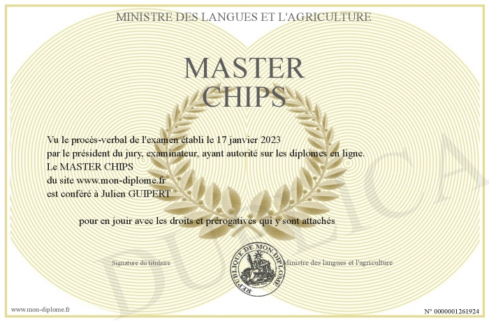 MASTER-CHIPS
