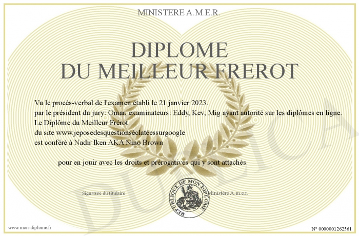 Diplome-du-Meilleur-frerot
