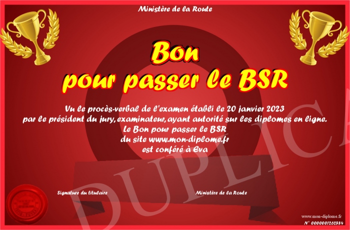 Bon-pour-passer-le-BSR