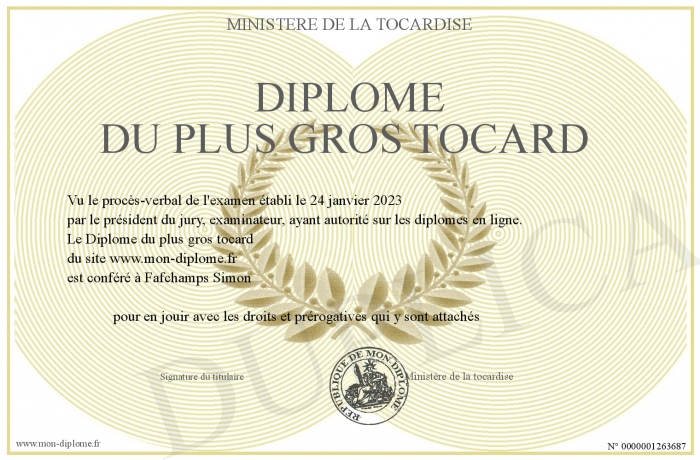 Diplome-du-plus-gros-tocard
