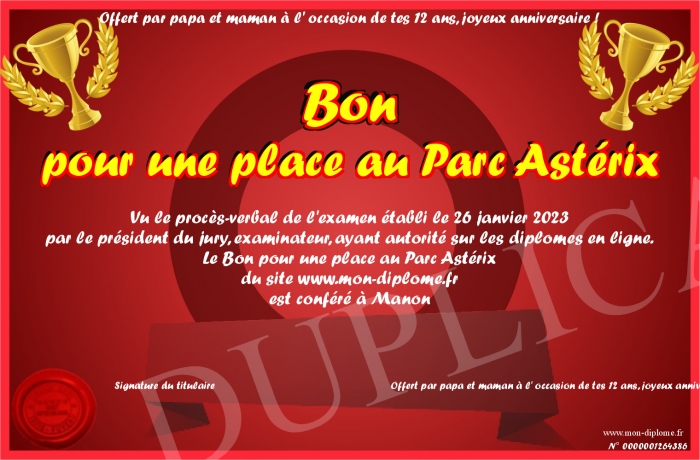 Bon-pour-une-place-au-Parc-Asterix