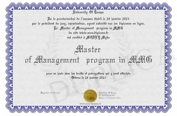 Master-of-Management--program-in-MMG