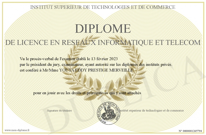Diplome-de-LICENCE-en-reseaux-informatique-et-telecom
