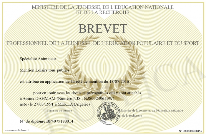 BREVET-PROFESSIONNEL-de-la-jeunesse--de-l-education-populaire-et-du-sport