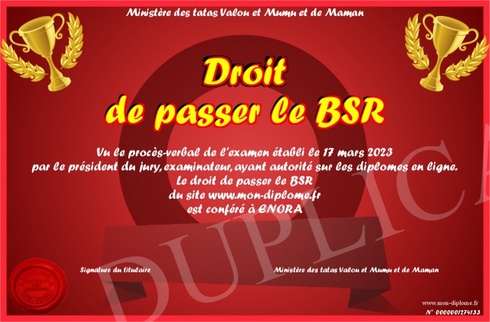 Droit-de-passer-le-BSR