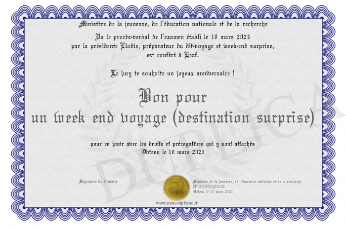 Bon-pour-un-week-end-voyage-(destination-surprise)
