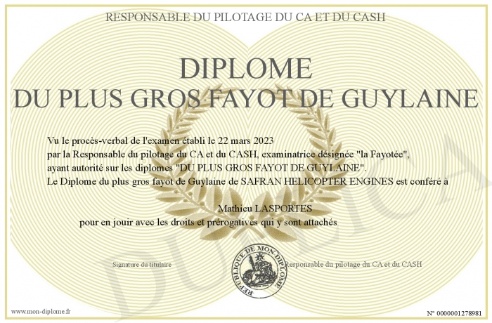 Diplome-du-plus-gros-fayot-de-Guylaine