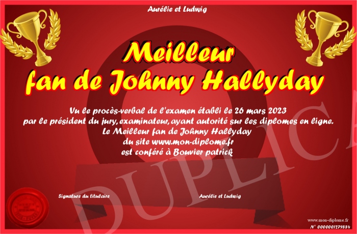 Meilleur-fan-de-Johnny-Hallyday