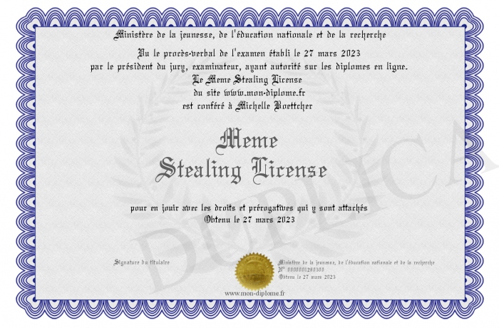 Meme-Stealing-License