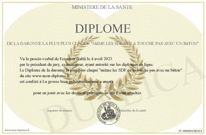 Diplome-de-la-daronne-la-plus-plus-claque--meme-les-SDF-ne-la-touche ...