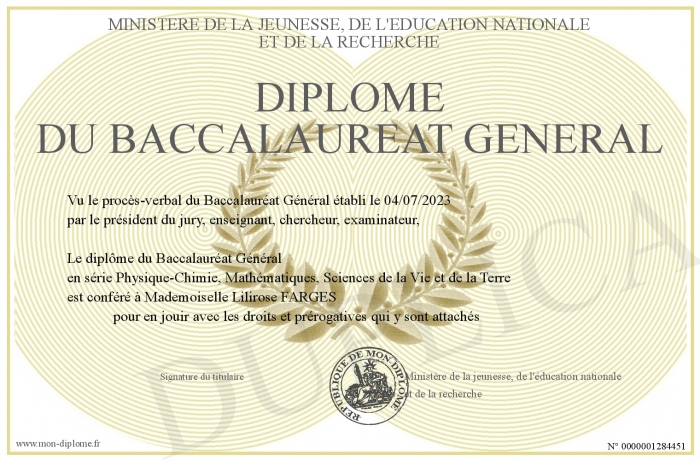 Diplome-du-baccalaureat-general