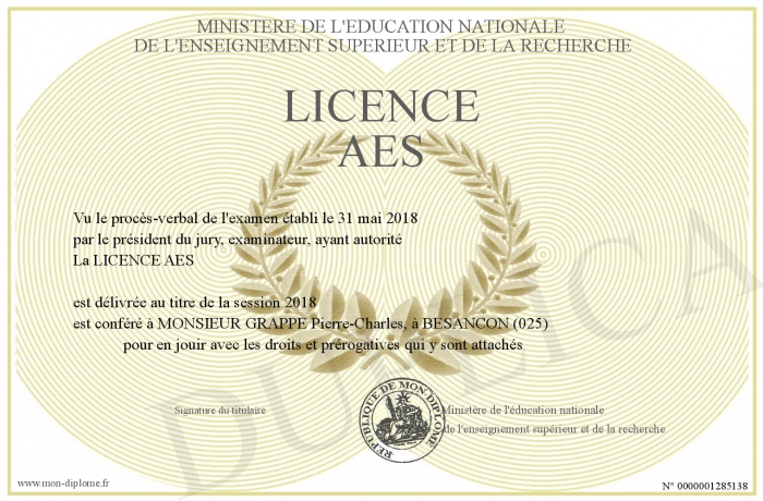 LICENCE-AES