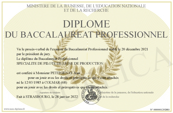 Diplome-du-baccalaureat-professionnel