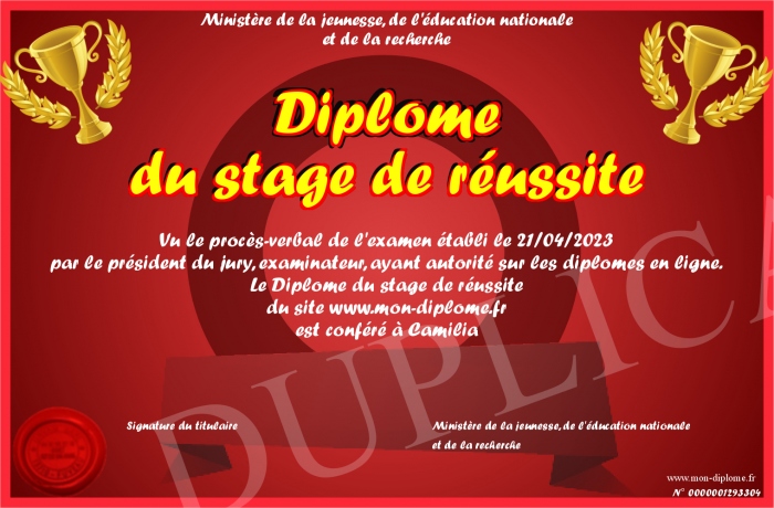 Diplome-du-stage-de-reussite