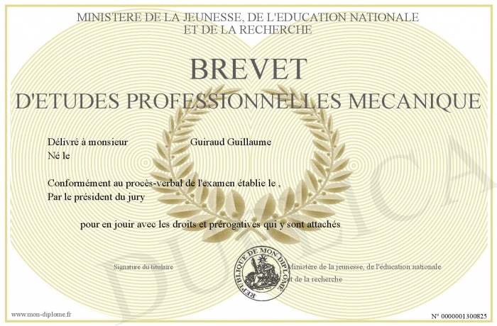 Brevet-d-etudes-professionnelles-mecanique