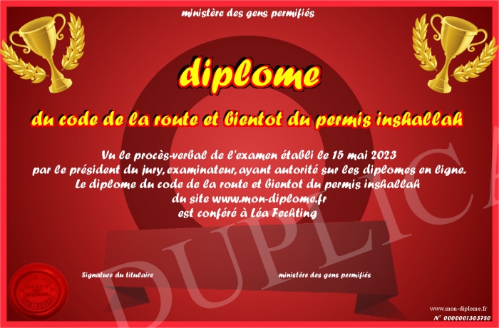 diplome-du-code-de-la-route-et-bientot-du-permis-inshallah