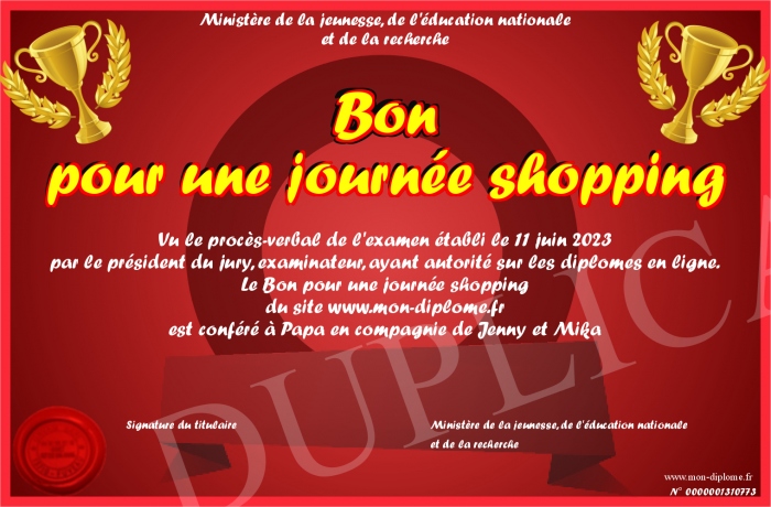 Bon-pour-une-journee-shopping