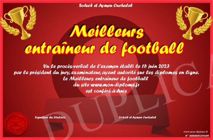 Meilleurs-entraineur-de-football