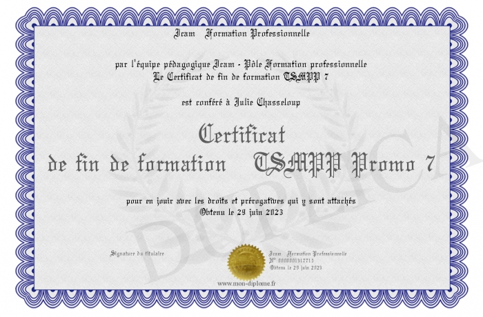 Certificat-de-fin-de-formation---TSMPP-Promo-7