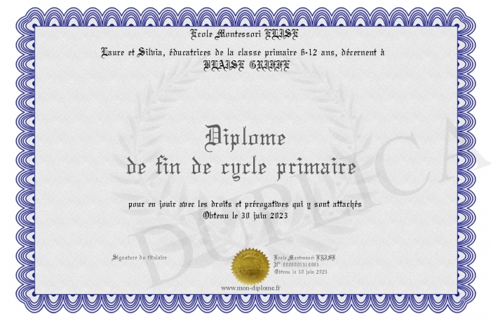 Diplome-de-fin-de-cycle-primaire