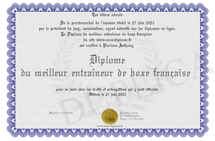 Diplome-du-meilleur-entraineur-de-boxe-francaise