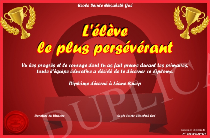 L-eleve-le-plus-perseverant