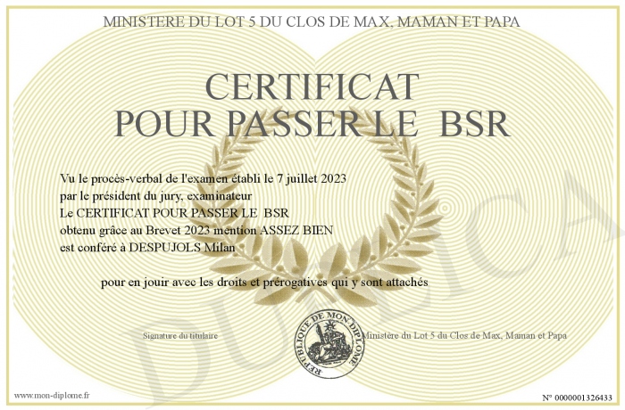 CERTIFICAT-POUR-PASSER-LE--BSR
