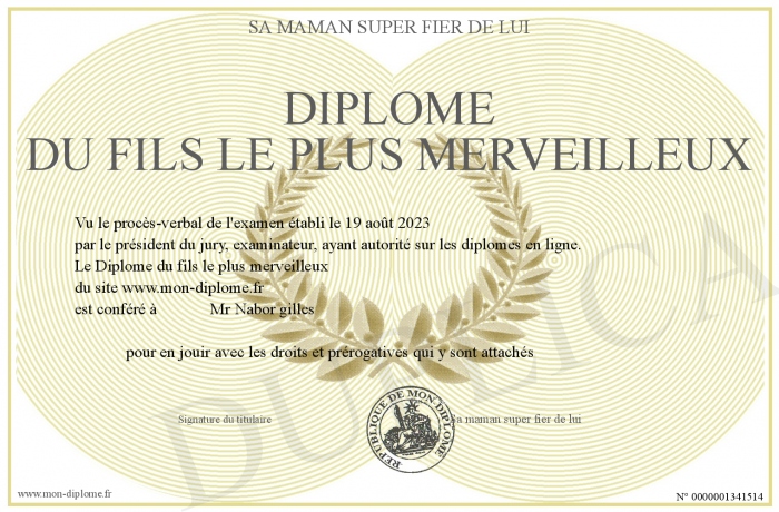 Diplome-du-fils-le-plus-merveilleux