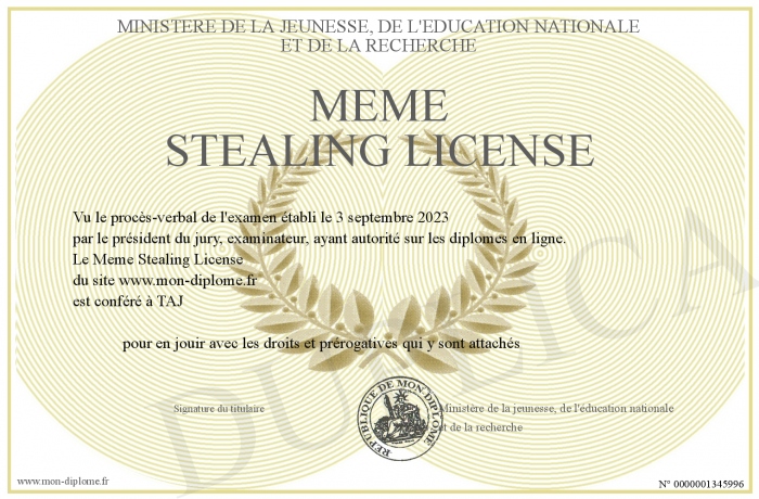 Meme-Stealing-License