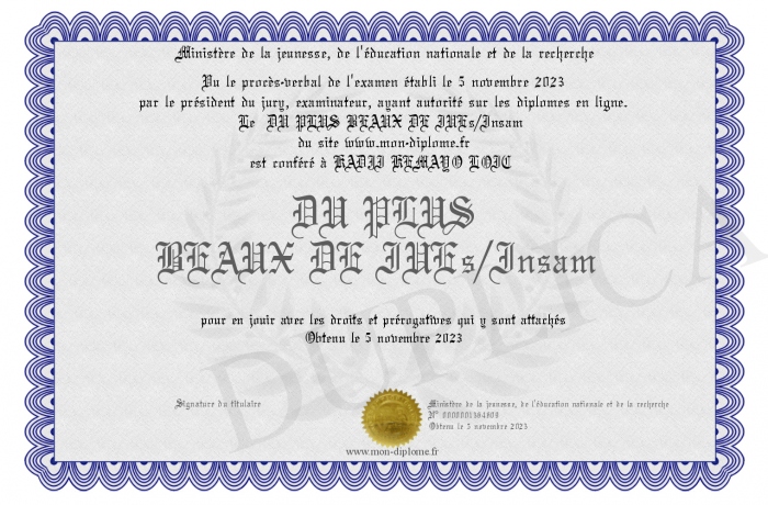 DU-PLUS-BEAUX-DE-IUEs/Insam