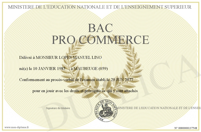 bac-pro-commerce