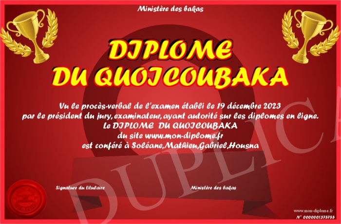 DIPLOME--DU-QUOICOUBAKA