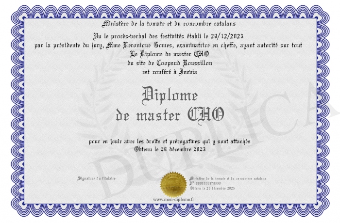 Diplome-de-master-CHO