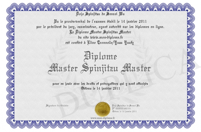 Diplome-Master-Spinjitzu-Master